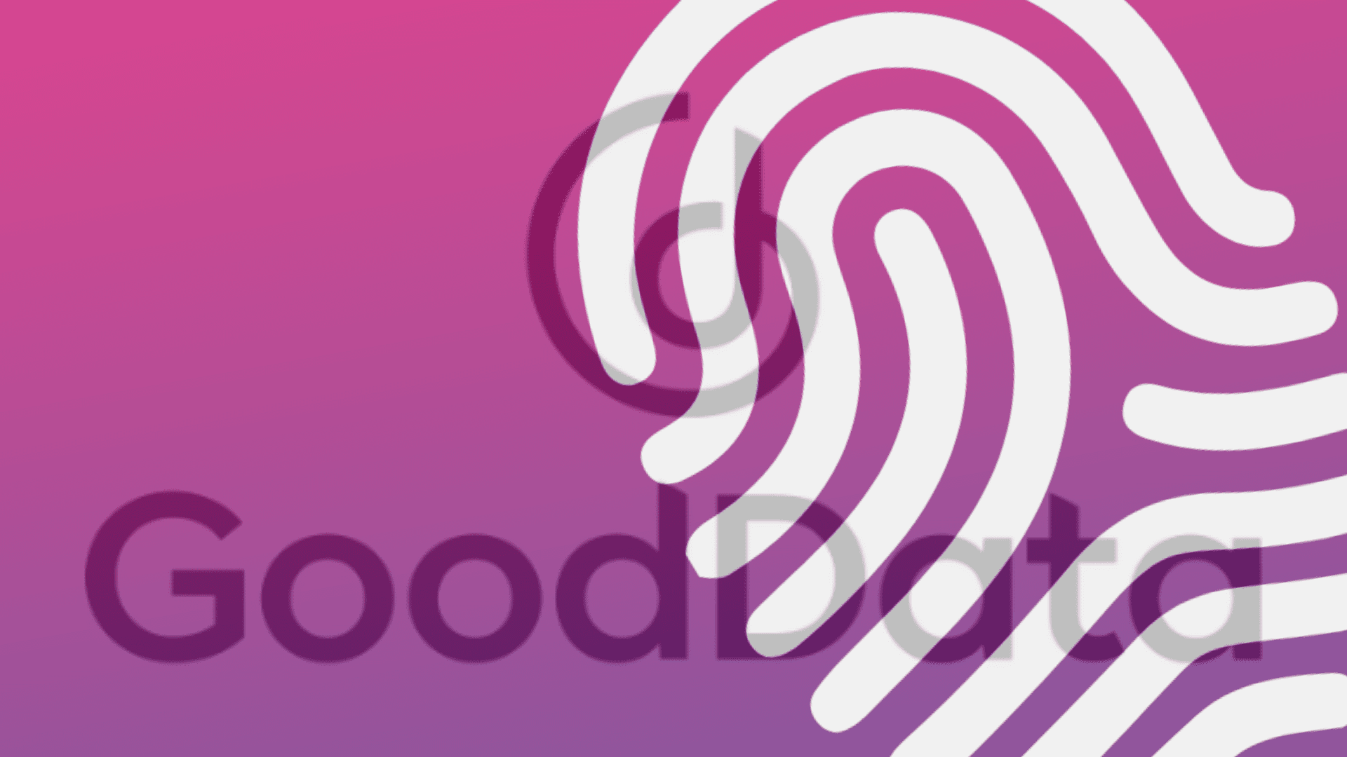 GoodData | BizzTreat